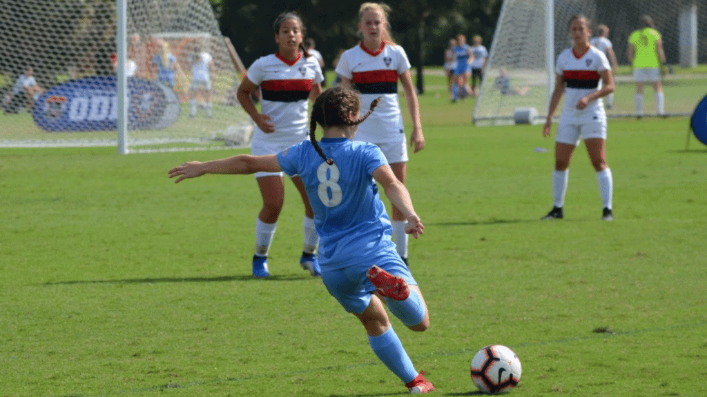 Development Player League - The Summit - Palm Beach County Sports ...